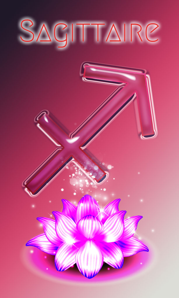 Cartes 12 signes astrologiques – Les Oracles De Micka